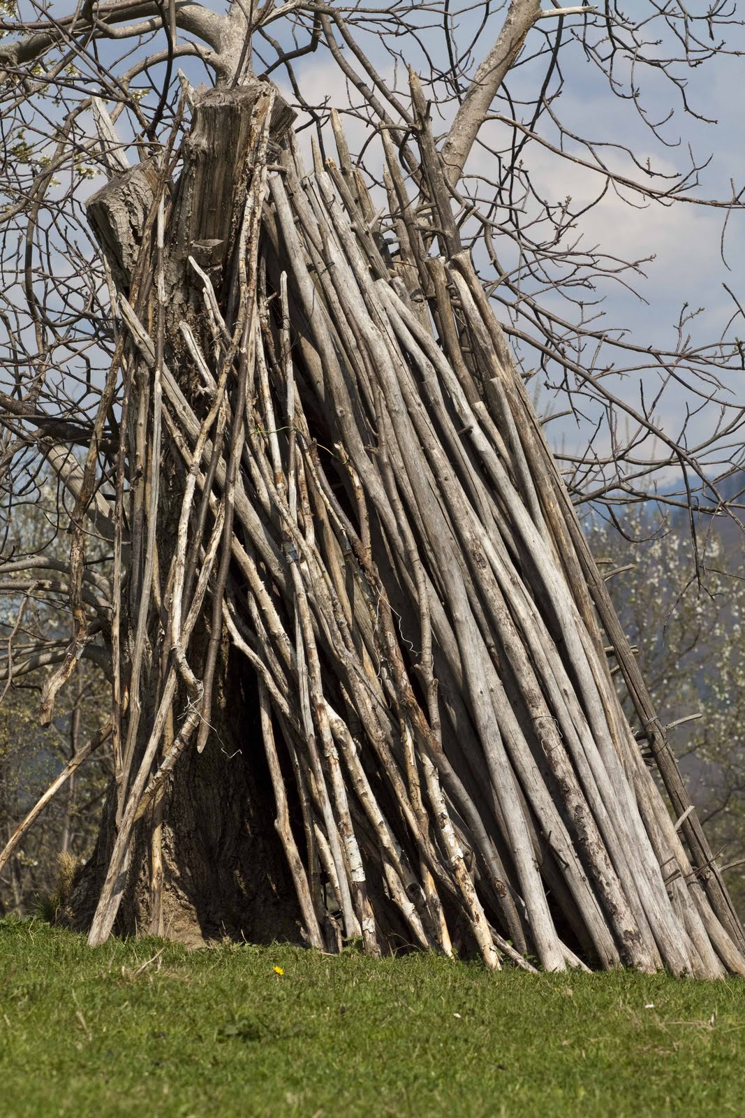 The Art of Photography: Diagonals