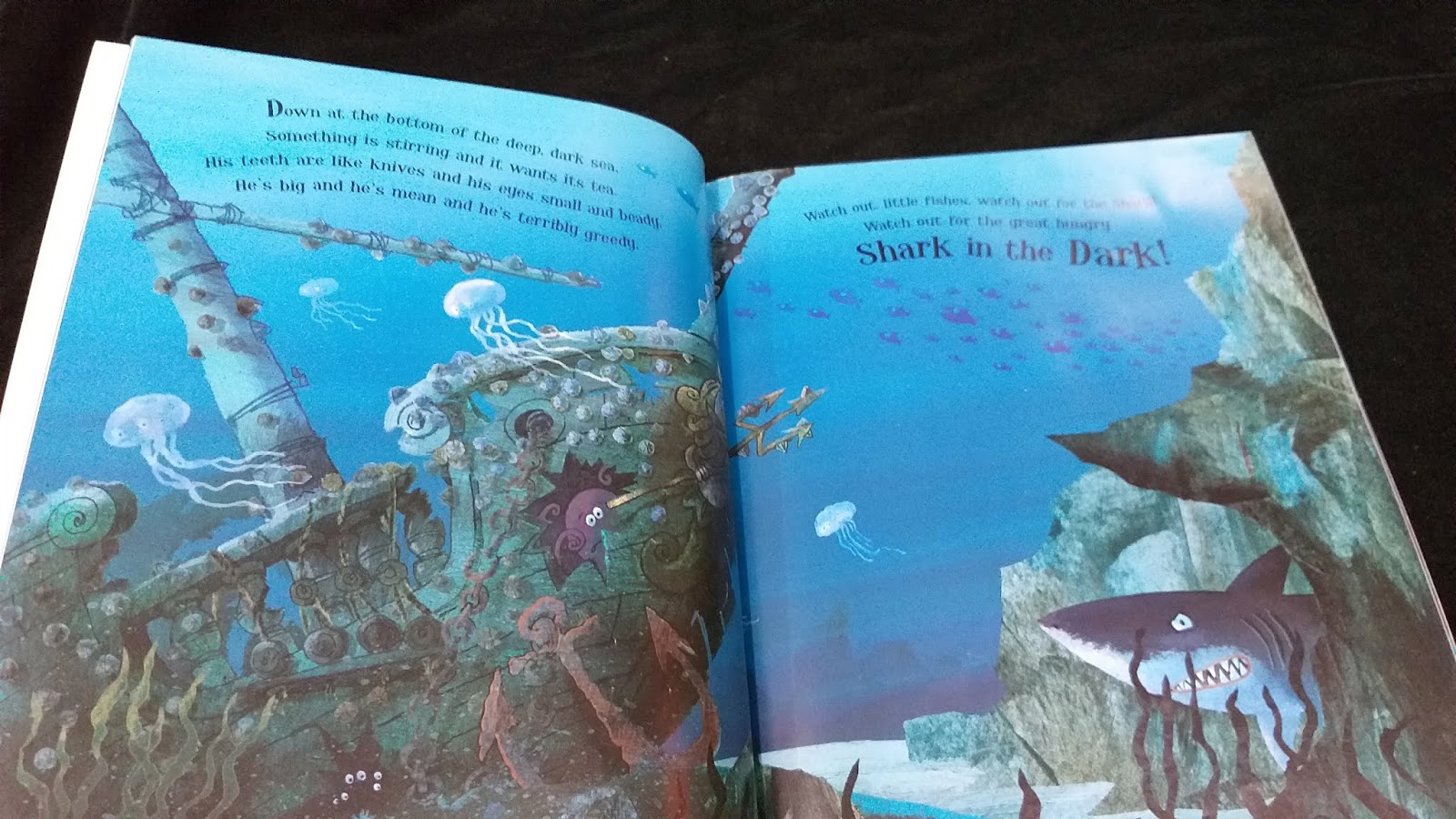 Kid Books Blog: 445.Cats Ahoy / The Shark in the Dark