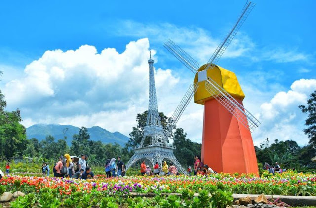 Taman Bunga Celosia Semarang Jawa Tengah - Harga Tiket Masuk dan Alamat ...