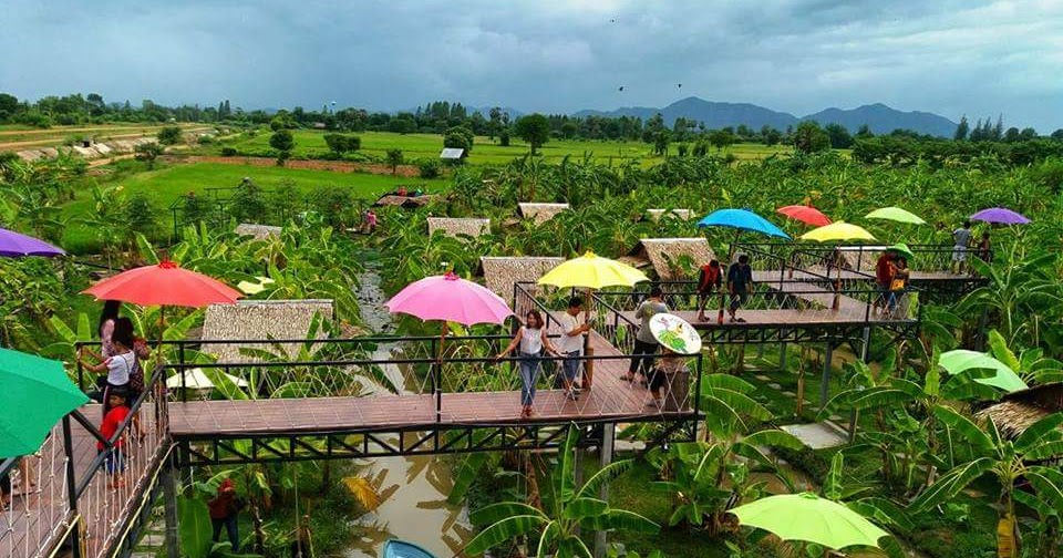 ของโบราณ: Banana Farm :Thailand : บานาน่าฟาร์ม อ.พนมทวน จ.กาญจนบุรี
