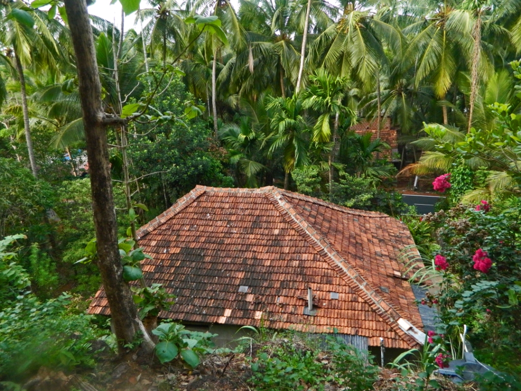 Mashem,Goa,India | Travel life journeys