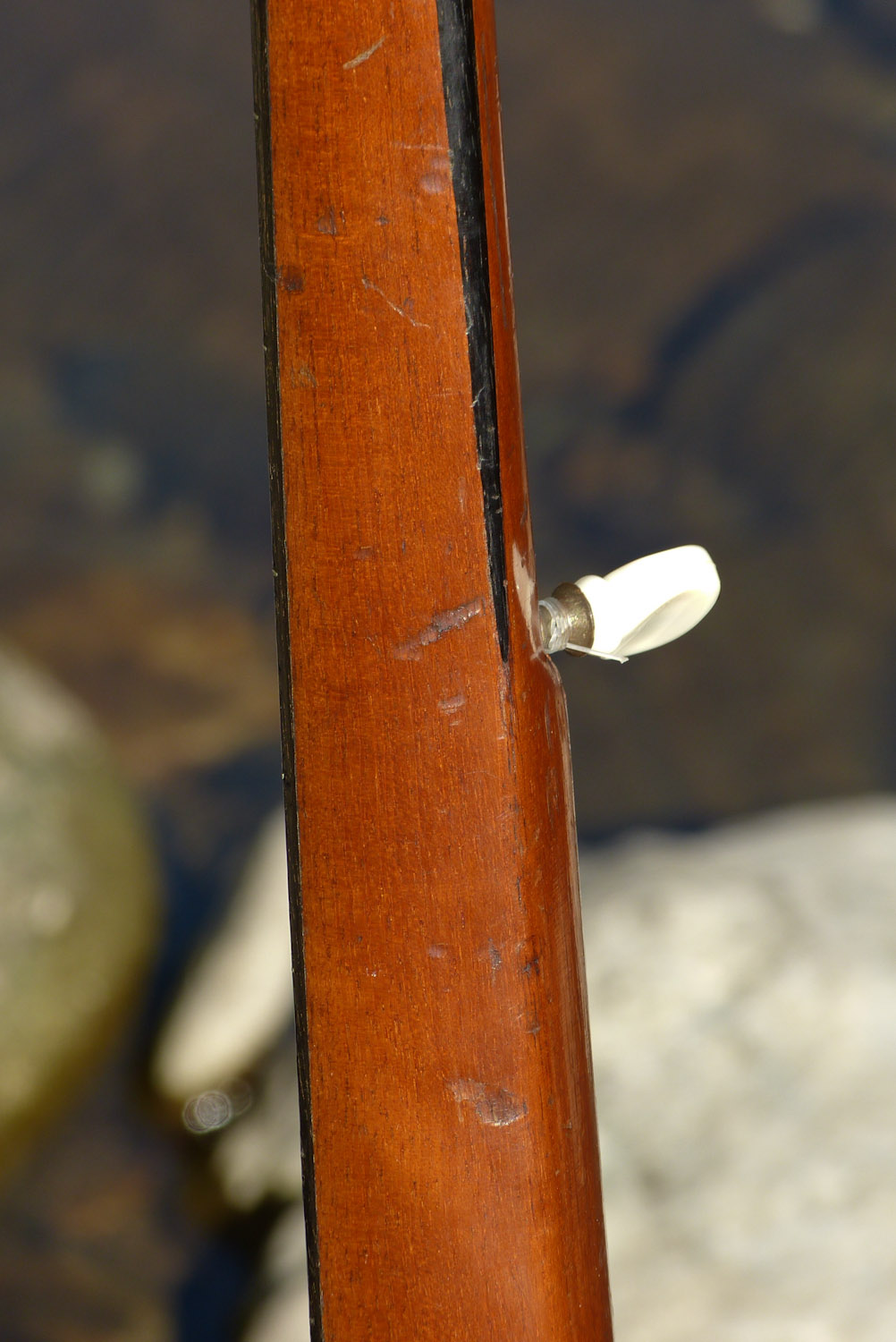 1890s Haynes-made Bay State 5-String Banjo