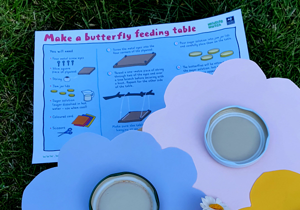 How to make a butterfly feeder from materials around the home ...
