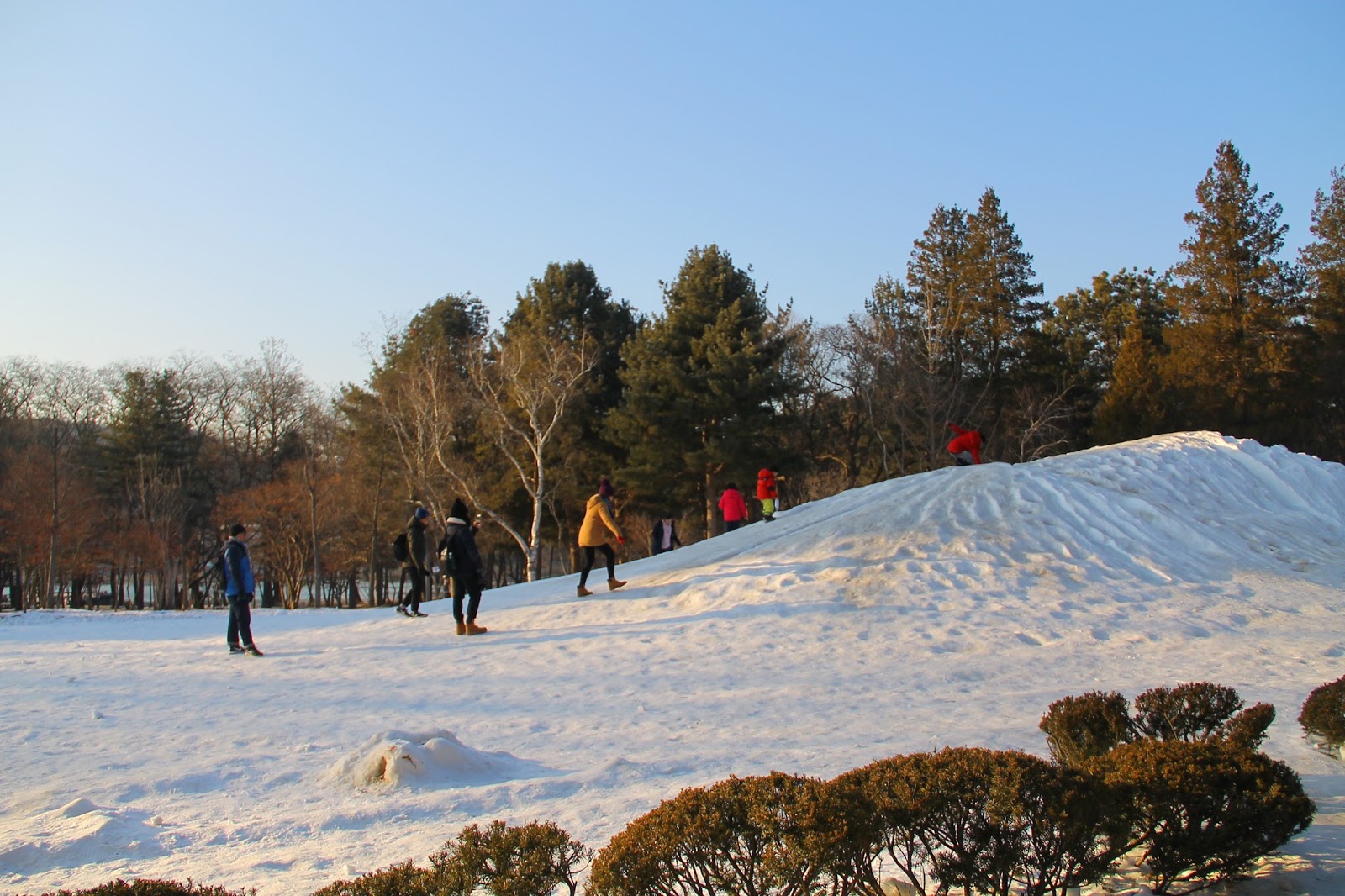 The Geek Travels: Nami Island: Winter Sonata Adventure