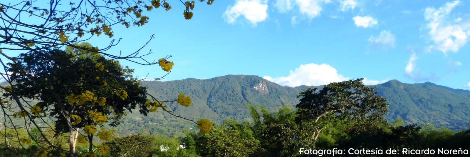 CALARCA QUINDIO: GALERIA FOTOGRAFICA.
