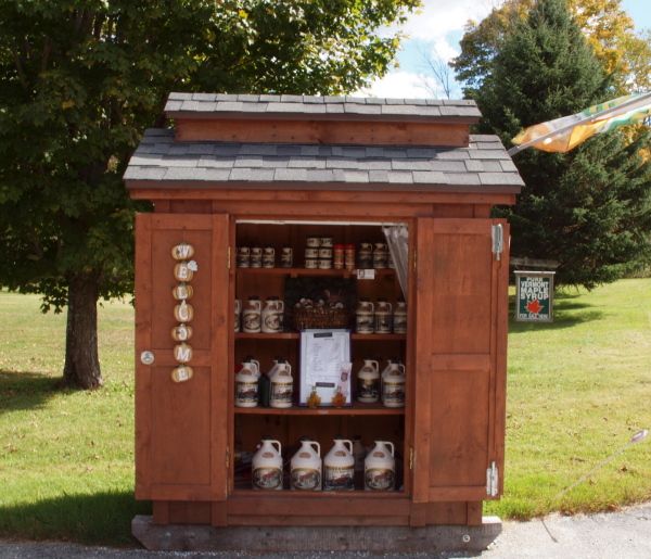 TAKIN BETZ: FALL, HIKERS & CHEESE - ALL THAT IS VERMONT