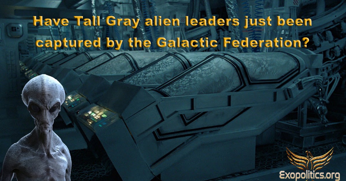 UFOs-Disclosure: Have Tall Gray alien leaders just been captured by the ...