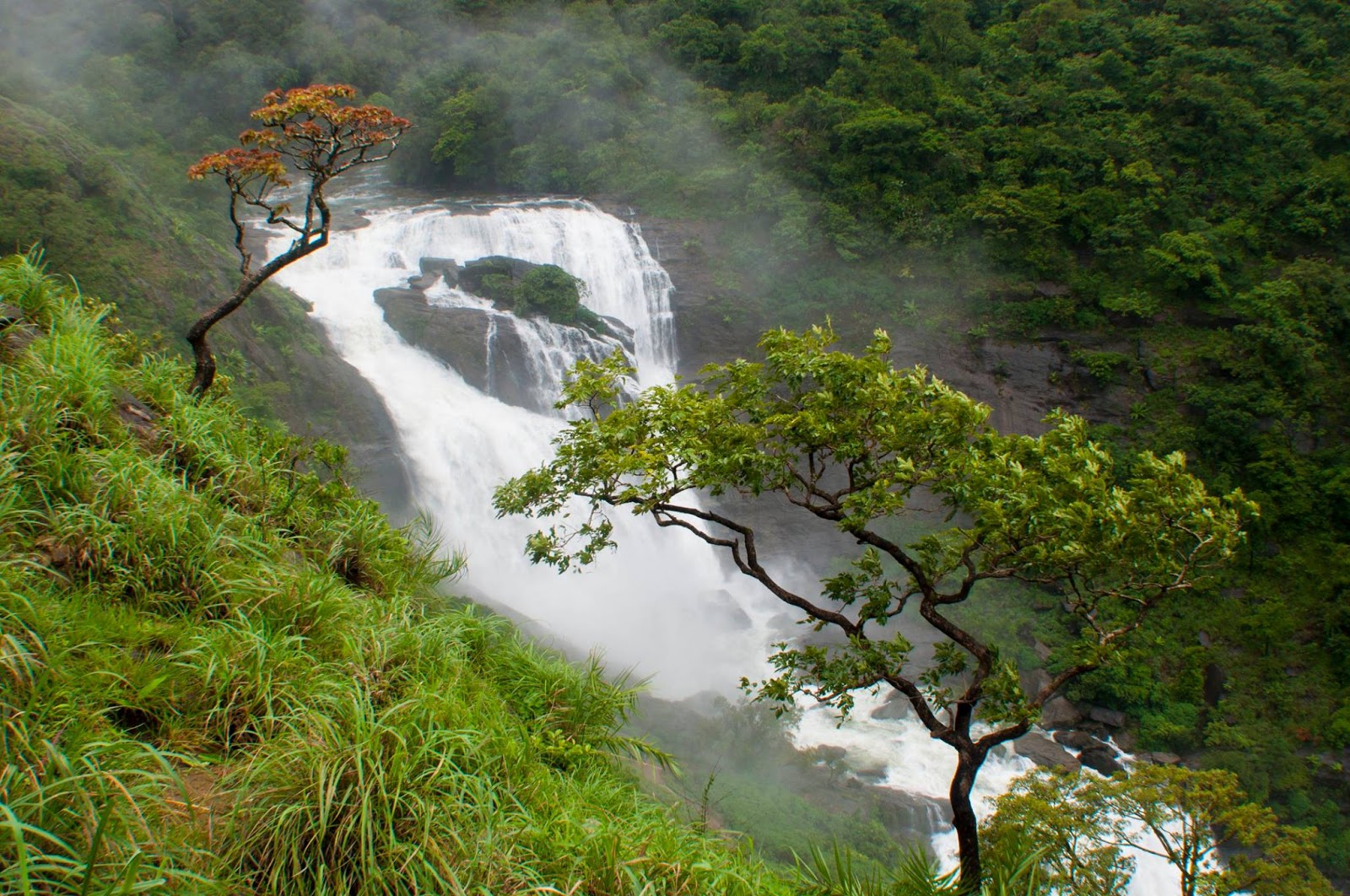 Pushpagiri Karnataka
