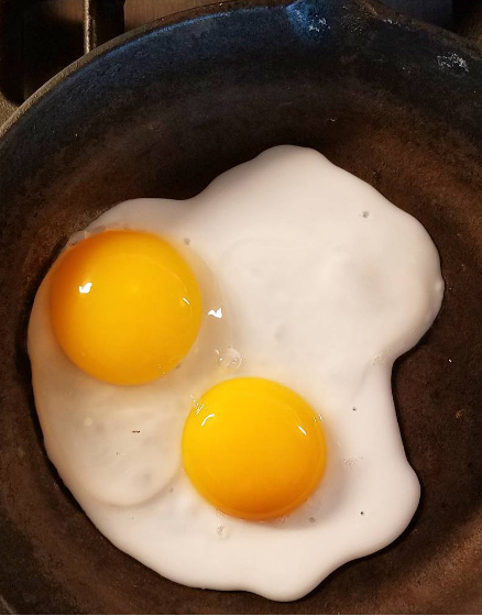 All About Double Yolk Chicken Eggs - Fresh Eggs Daily® with Lisa Steele