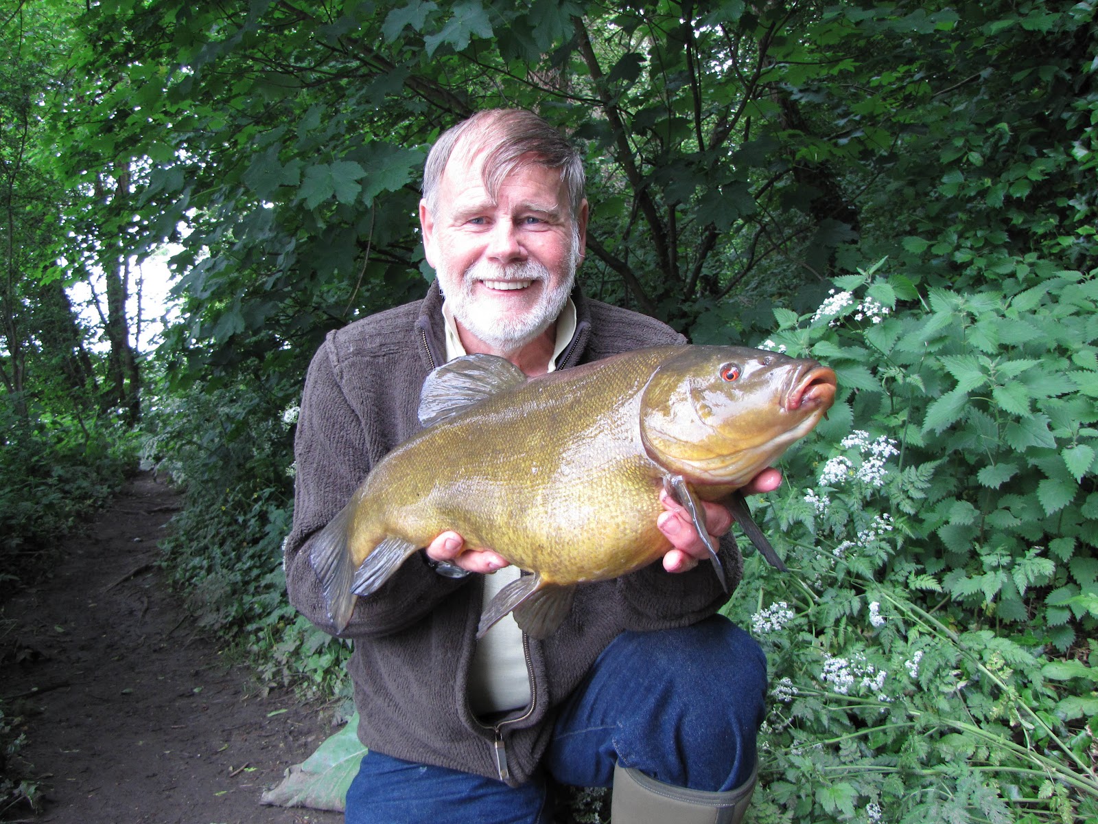 Travelling Man: A tench fishing bonanza part 2.