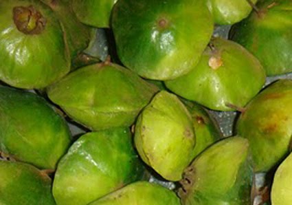 De Verde Casa: Cambuci, a missão