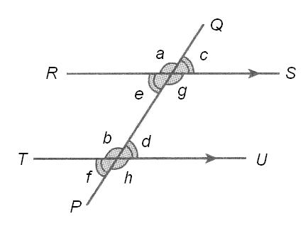 (PPTX) Chapter 1 lines & angles - DOKUMEN.TIPS