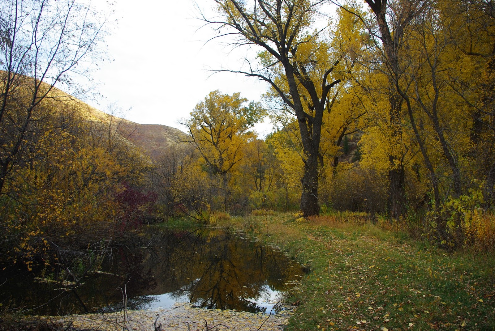 Jana's Place: Fall in Provo Canyon