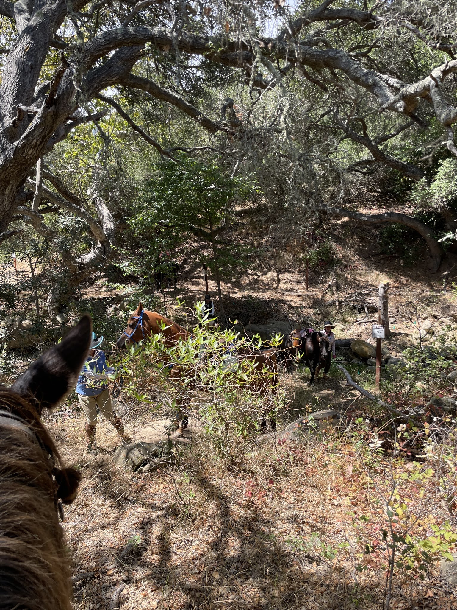 Baron Ranch on the Gaviota Coast - edhat