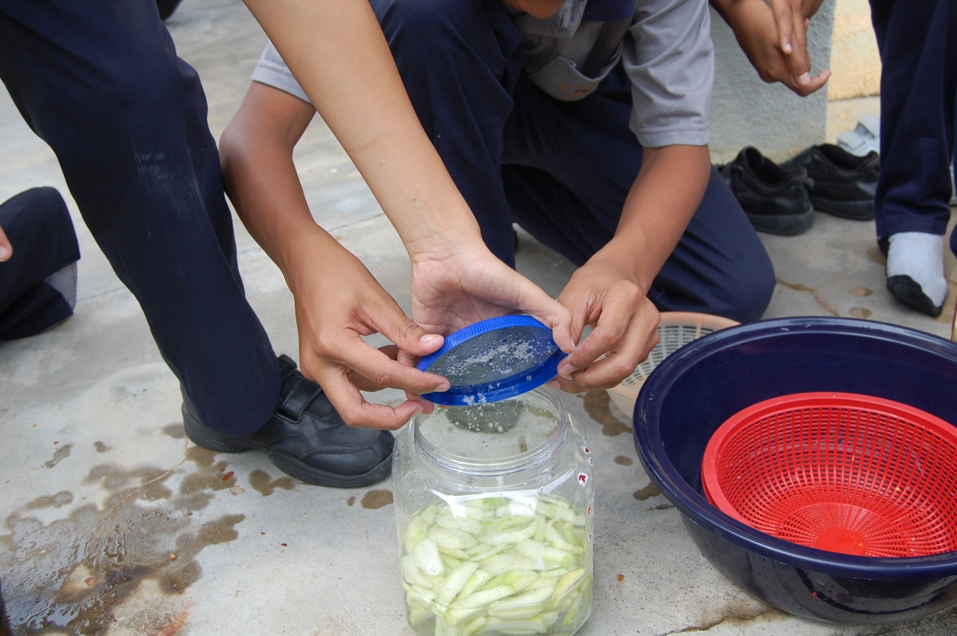 BLOG RASMI: PROSES PENJERUKAN