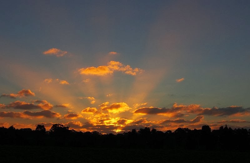 d r i n k s t e r: A VISIT FROM MARIE LINKE