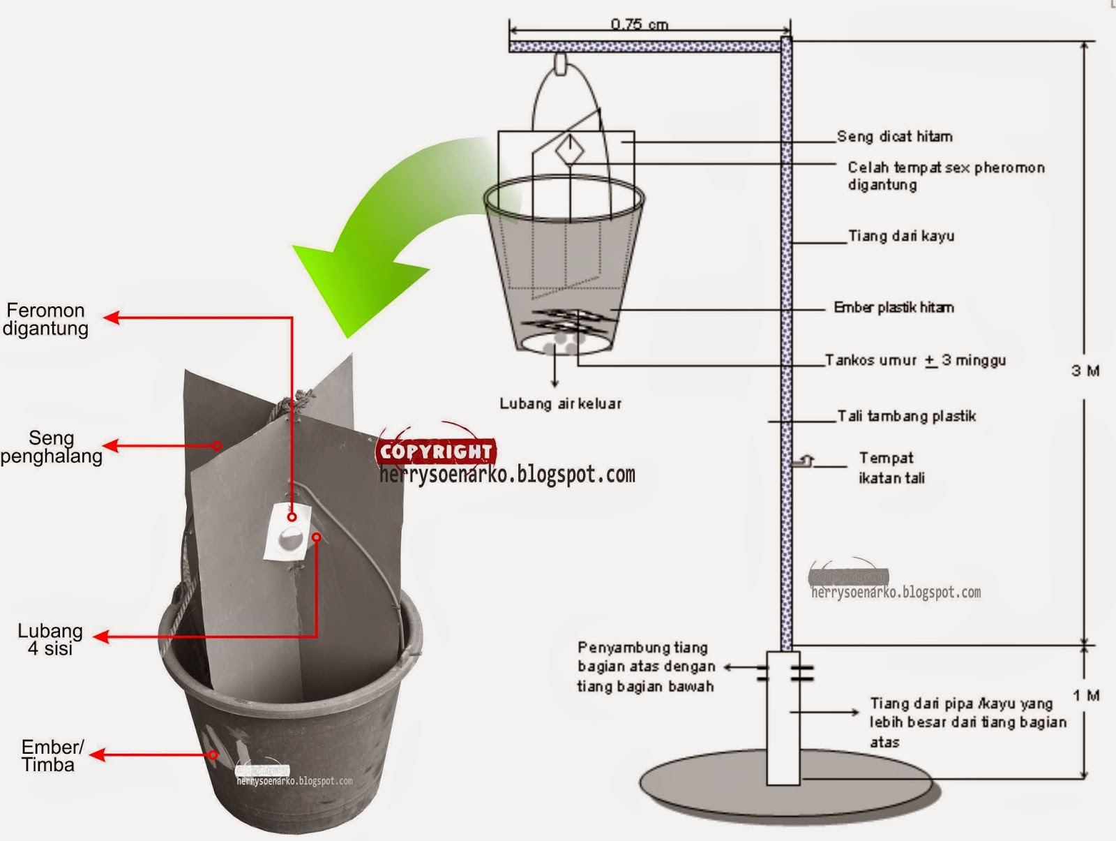 hama penting tanaman utama | JinengPedia