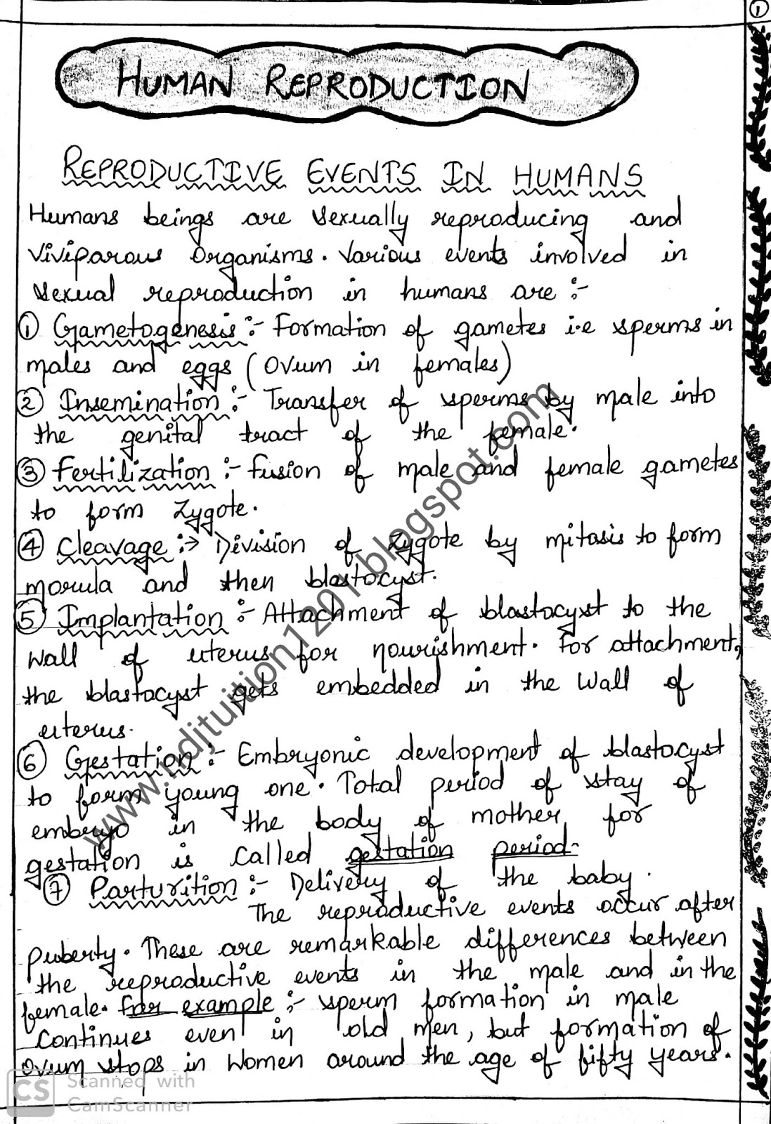 Human Reproduction Handwritten Notes for 12th Biology