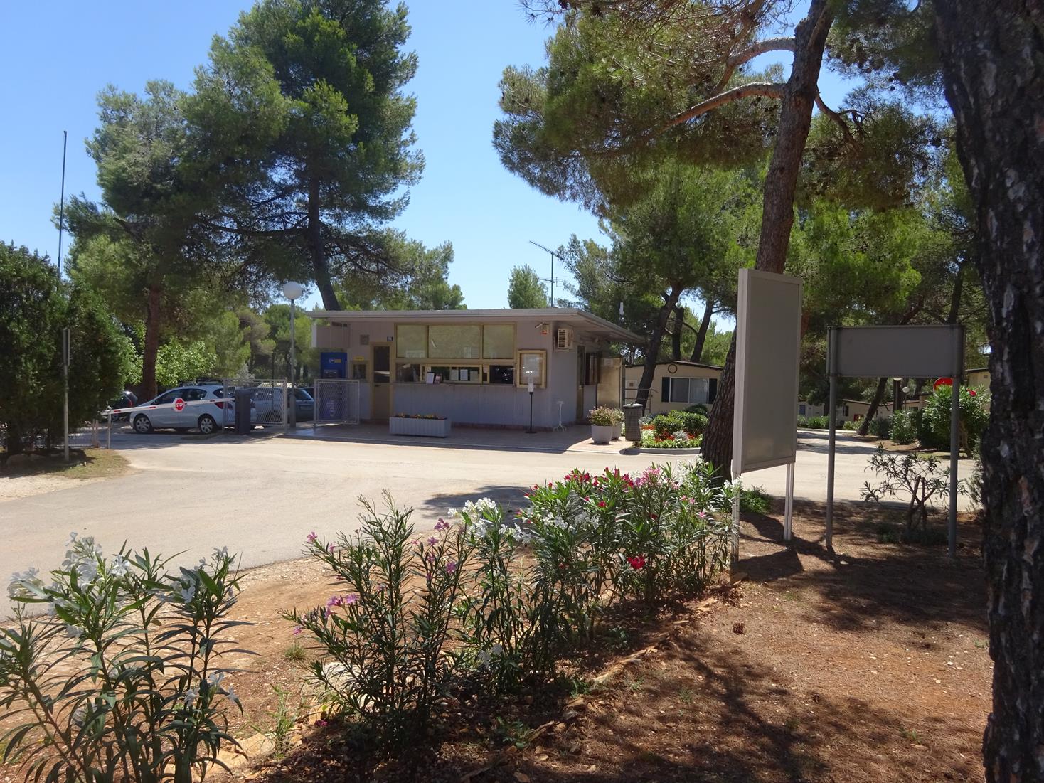 Menard & Jack Russell Terrier: Kamp Arena Indije