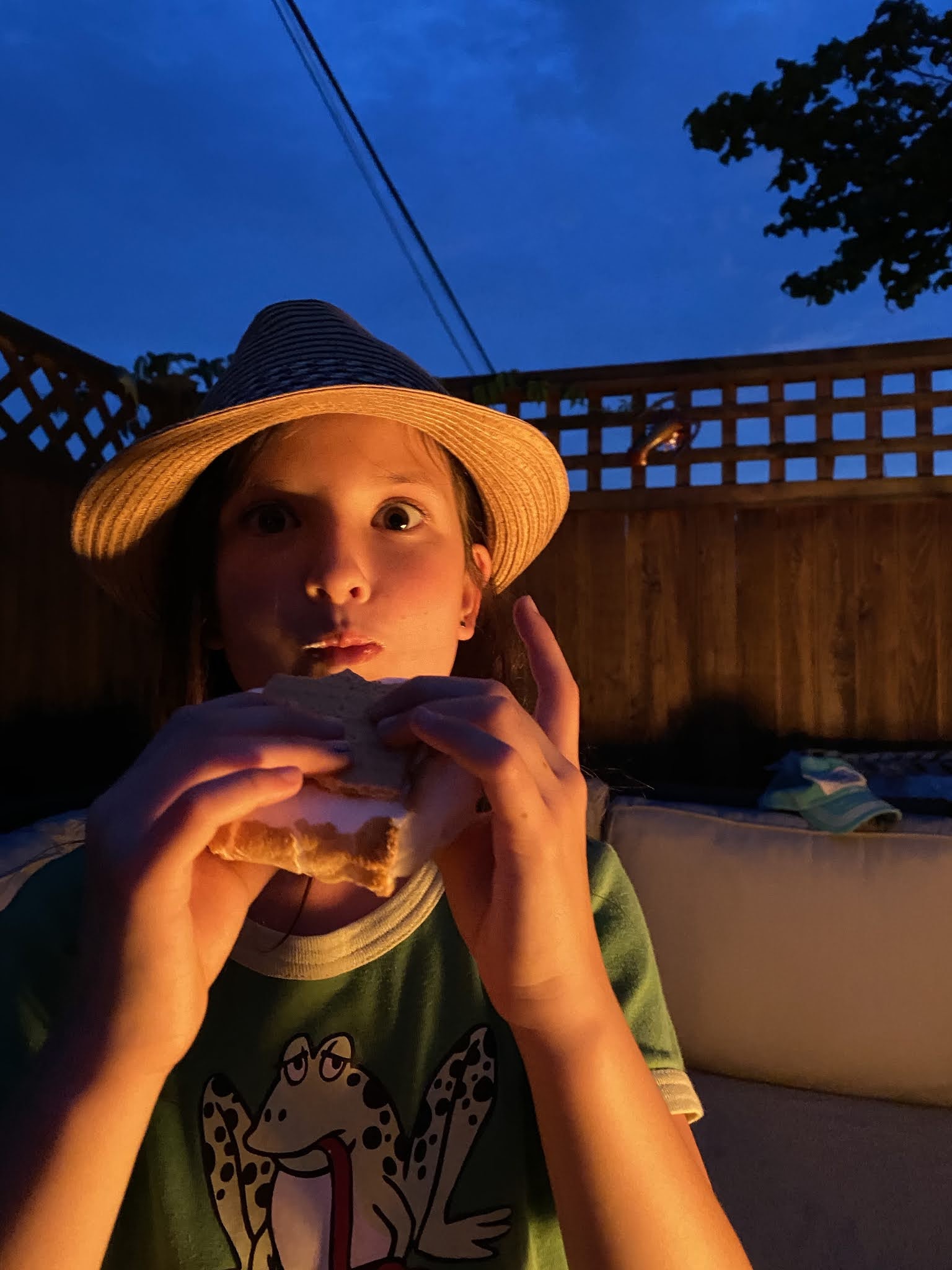 Emo & Cilantro Lime Chicken with Mango Avocado Salsa – Honeybears ...