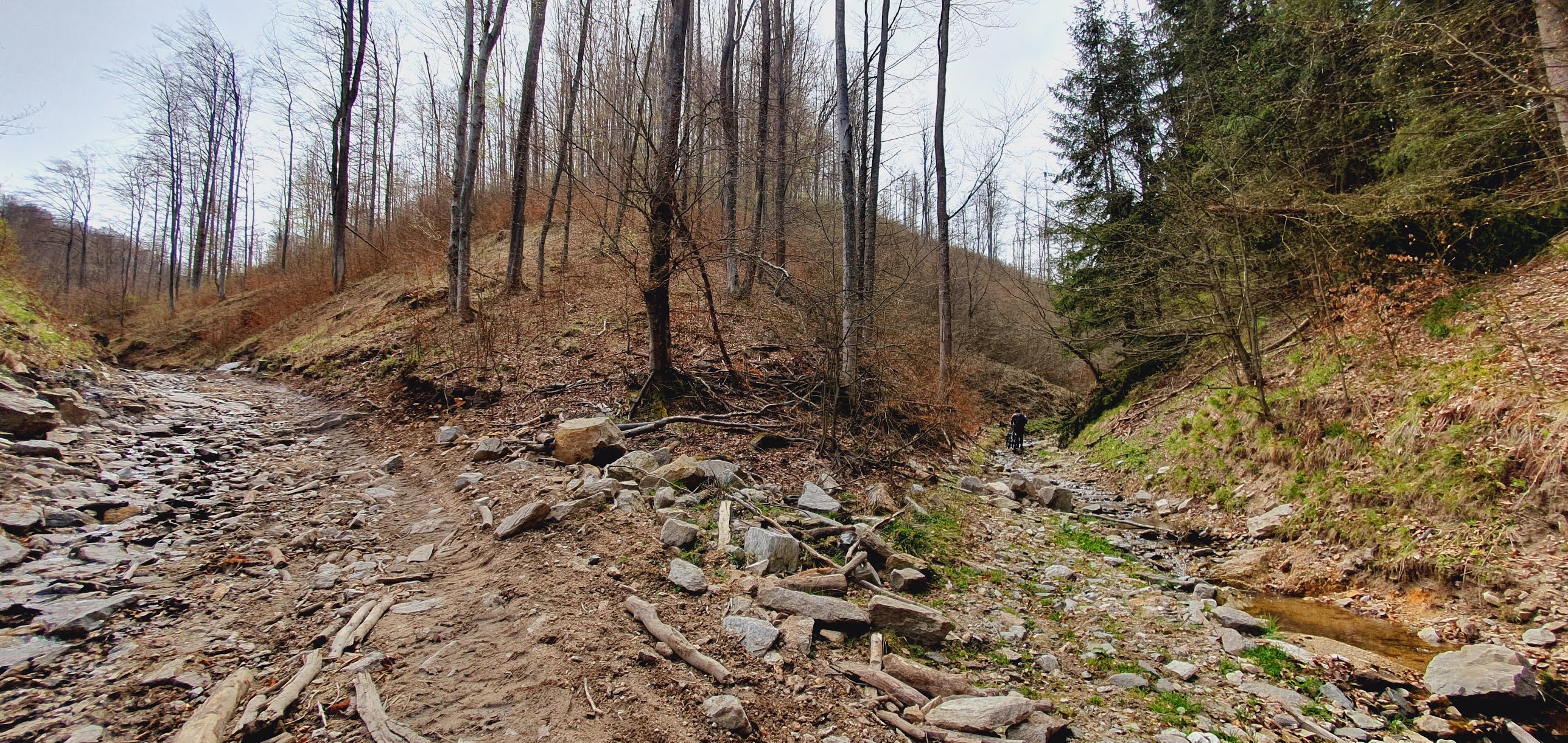 Prin Parcul National Gradistea Muncelului - Ciclovina