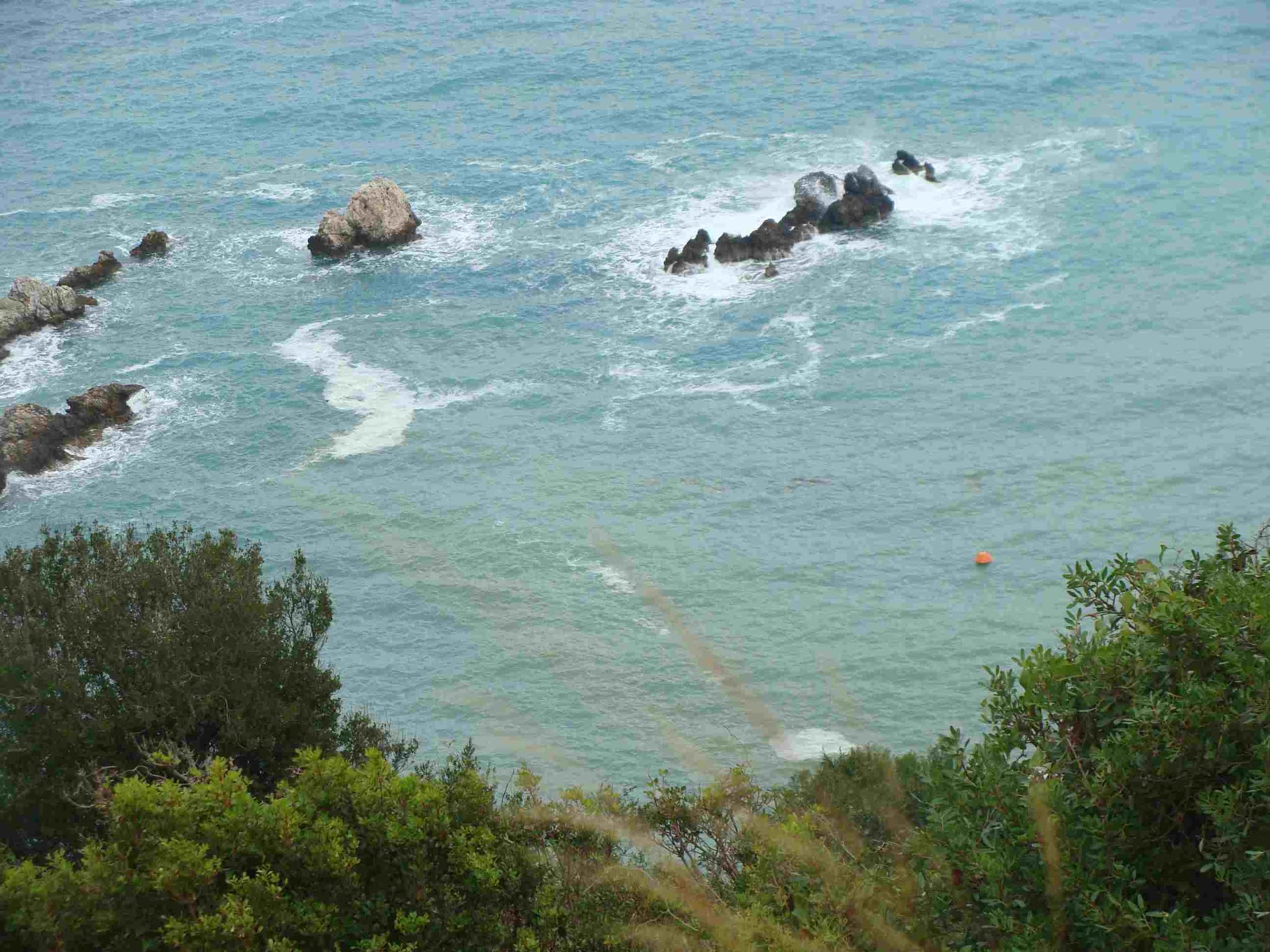 ΔΑΜΟΥΛΙΑΝΑΤΑ: ΔΑΜΟΥΛΙΑΝΑΤΑ ΚΥΚΛΩΝΑΣ ΙΑΝΟΣ