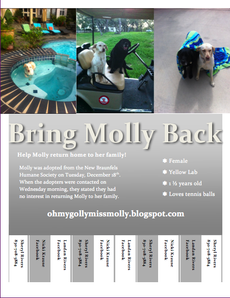 Missing Molly: Missing Molly Goes Viral