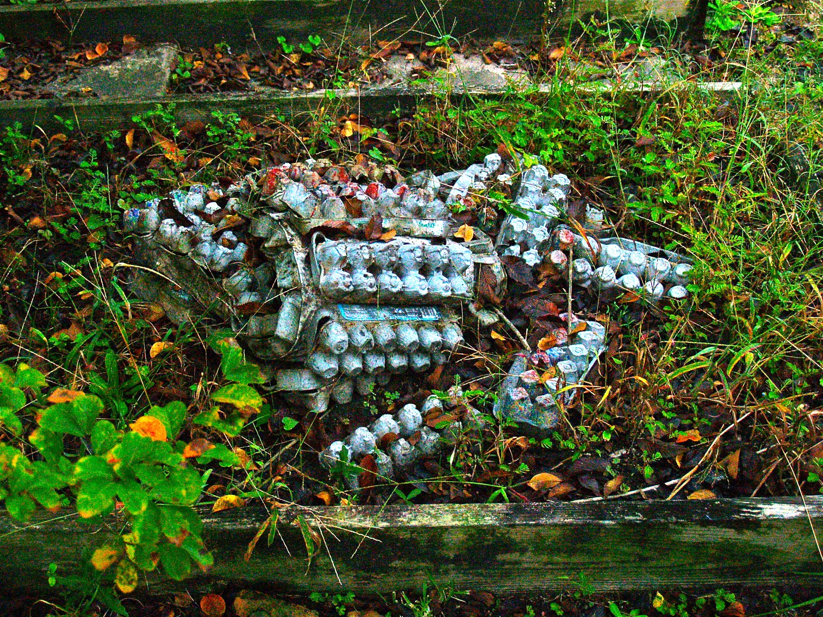 Greg Patch: egg carton foundation for the arts to compost (nineteen ...