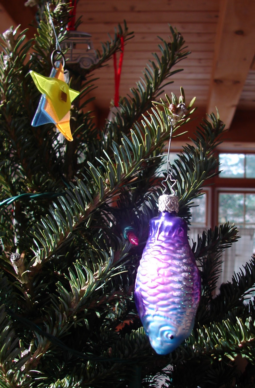 Way Upstream: Christmas Carp