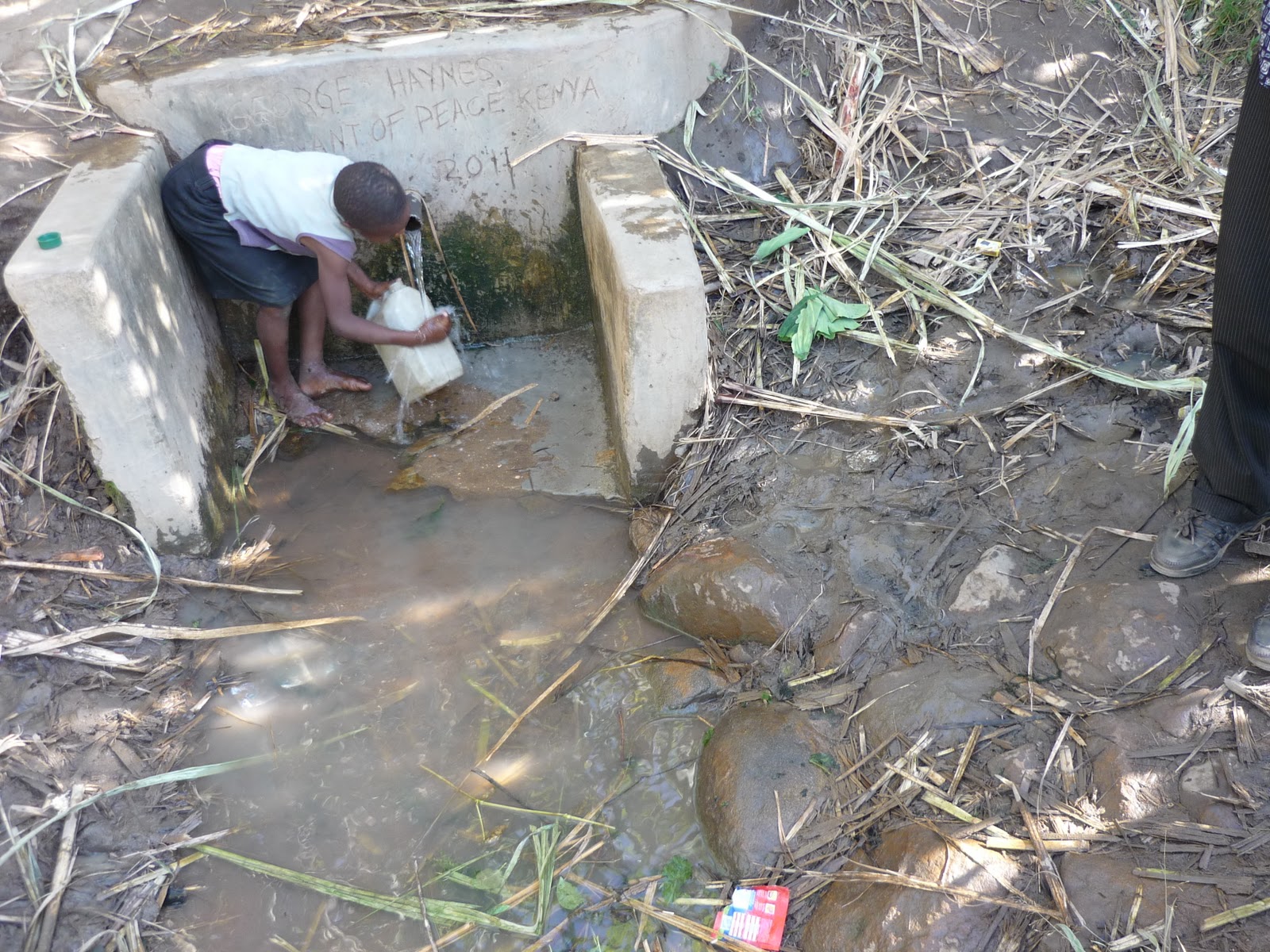 Canada to Kenya: Onto the 2nd batch of 18 Protected Springs