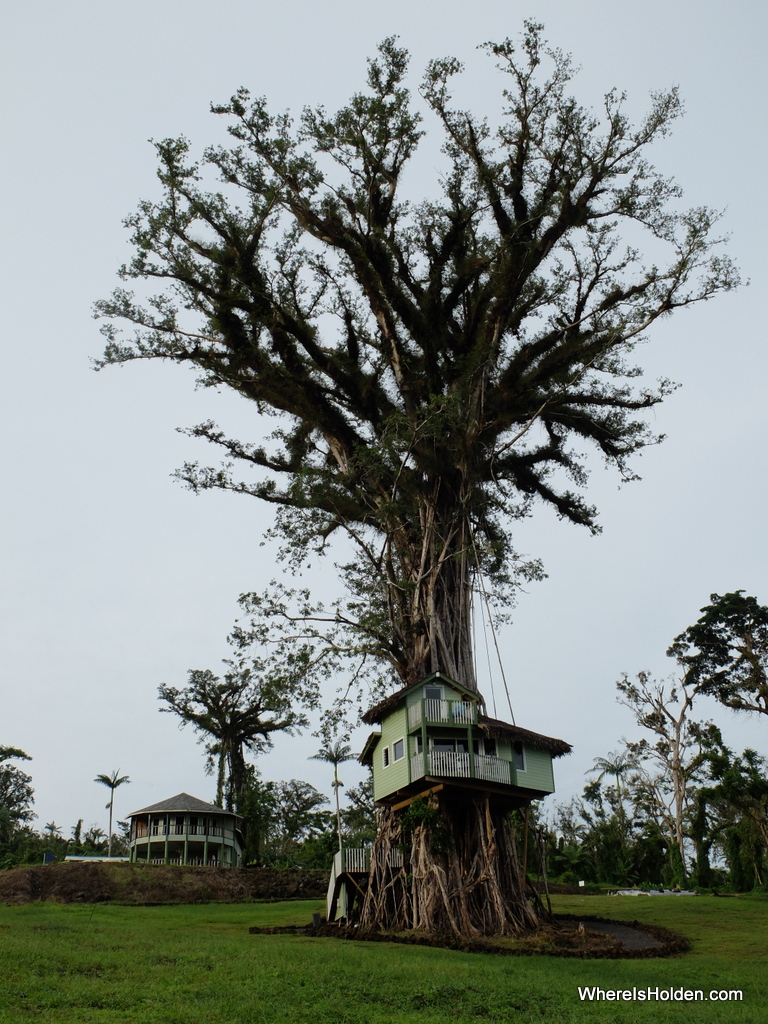 WhereIsHolden?: Samoa Treehouse