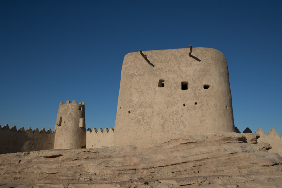 Birds of Saudi Arabia: Zaabal Castle - Sakaka