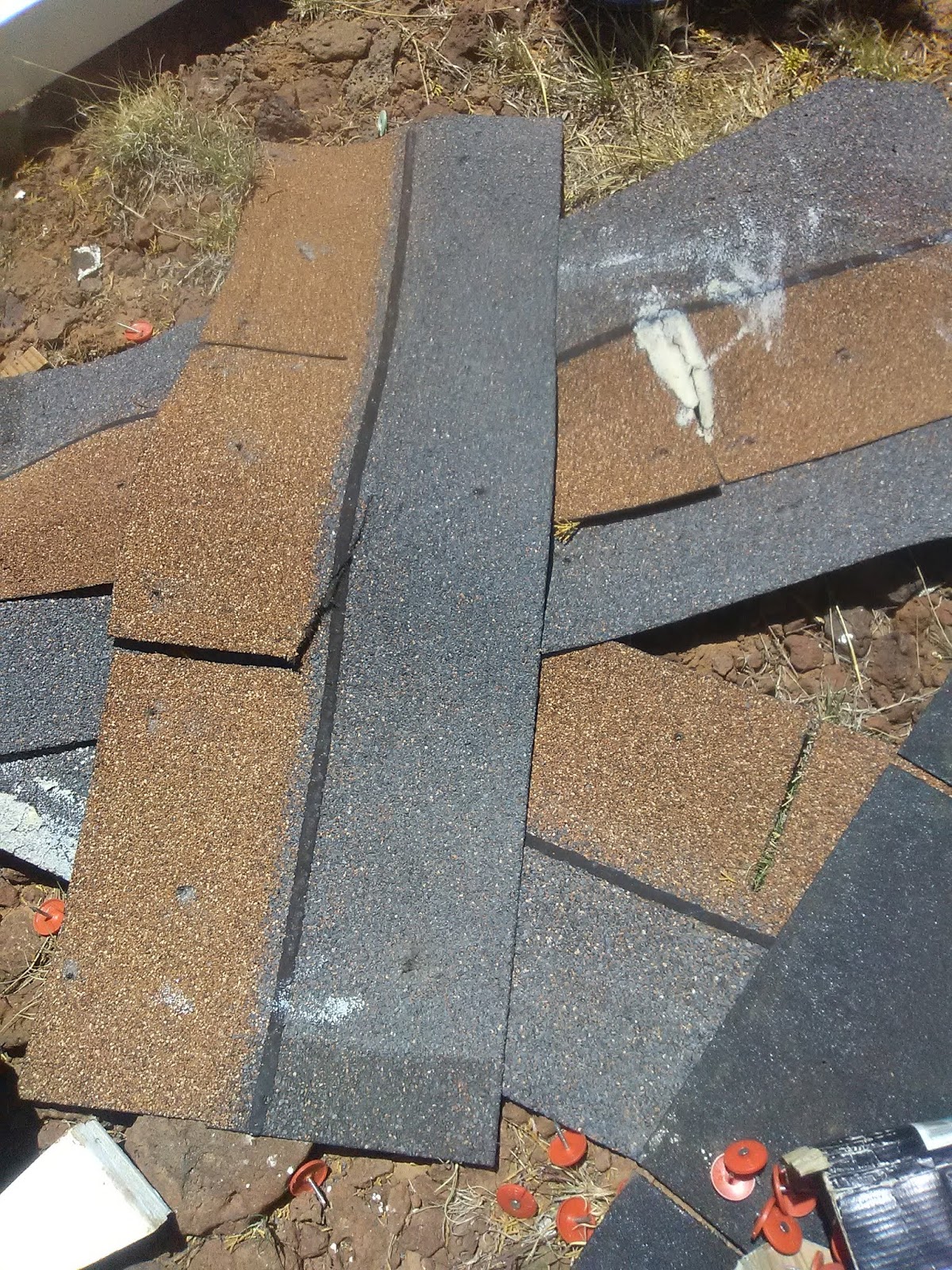 Lee Craven: Lee Craven (Arizona) Overview of Who He is and Some Damages ...