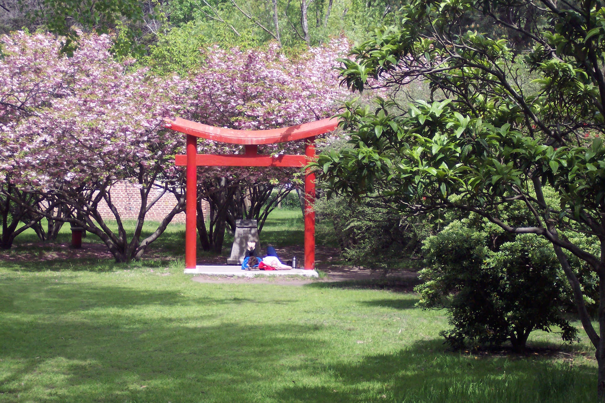 Conociendo el Parque Miguel Lillo de Necochea - Noti Turismo