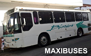 MAXIBUSES: AUTOBUSES BLANCOS COORDINADOS - ABC
