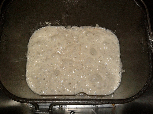 POOLISH FOR THE BREAD MACHINE