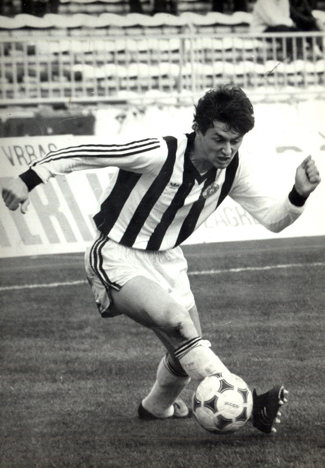 Admir Smajic - Alchetron, The Free Social Encyclopedia