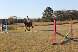 Springstone Horses: Suppleness - Using a Jumping Exercise to Improve ...