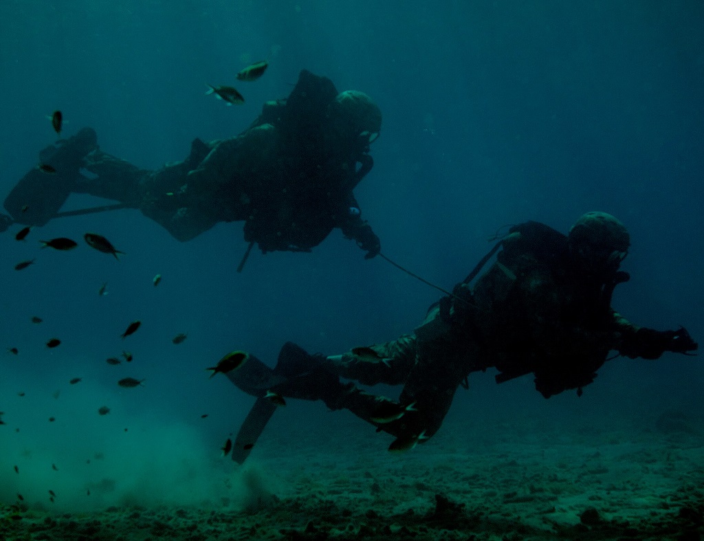 STRATEGIE & TECHNIK: Task Force Barrakuda - niederländische MARSOF ...