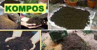 KOMPOS DENGAN TRICHODERMA