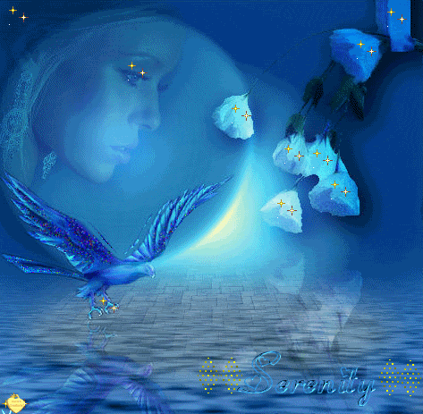 Blue Rose Animated Wallpapers - flowershdwallpapers