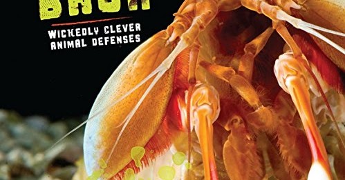 My Interdimensional Chaos: REVIEW: When Lunch Fights Back