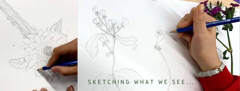 wild at art: Creative Adventures