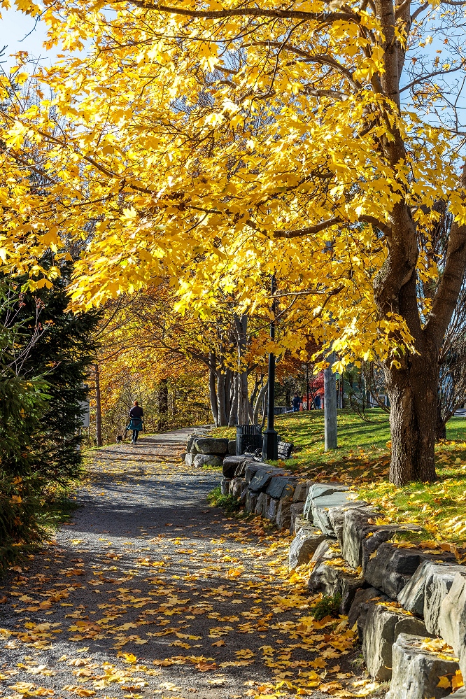 Bitstop: Bowring Park