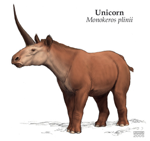 Fin des Voies Rapides: Crucifixion the Bodily Support - The Acuta Crux ...