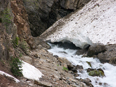 To Behold the Beauty: 3/1/11 - 4/1/11