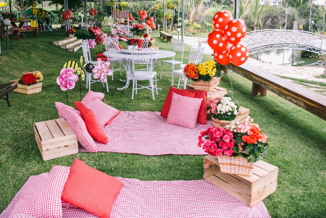 Detalhes de Festa: Picnic