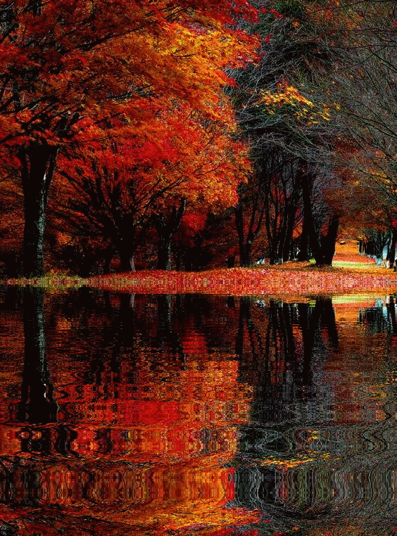 Gif animados andy: Lago
