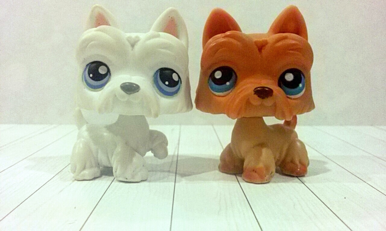 Littlest Pet Shop: Kształty LPS 3 ~ Scottie
