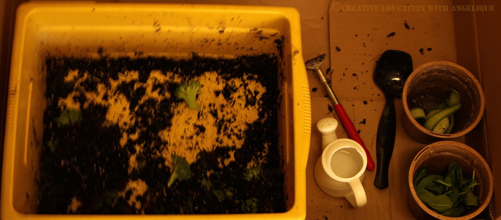 Creative Education with Angelique: Composting Activity for Kids